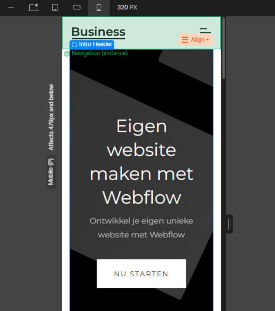 Eigen Webflow website maken - Meest uitgebreide sitebuilder
